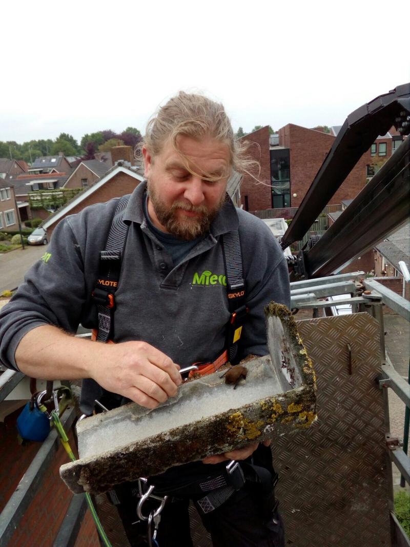 Wie zijn wij? | MIECON, de specialist in mitigatie