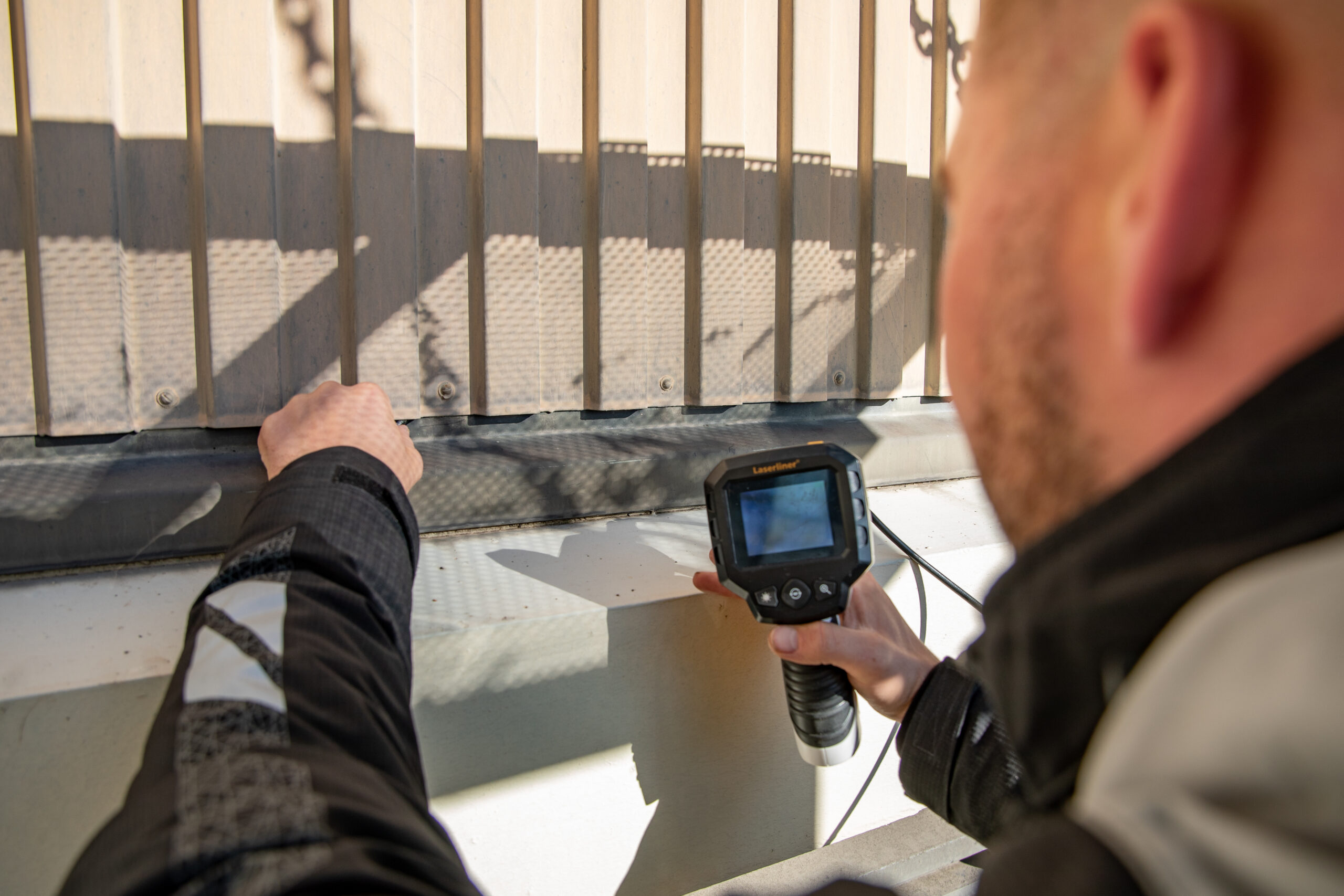 De waarde van inspectie bij vleermuisonderzoek - VLEN